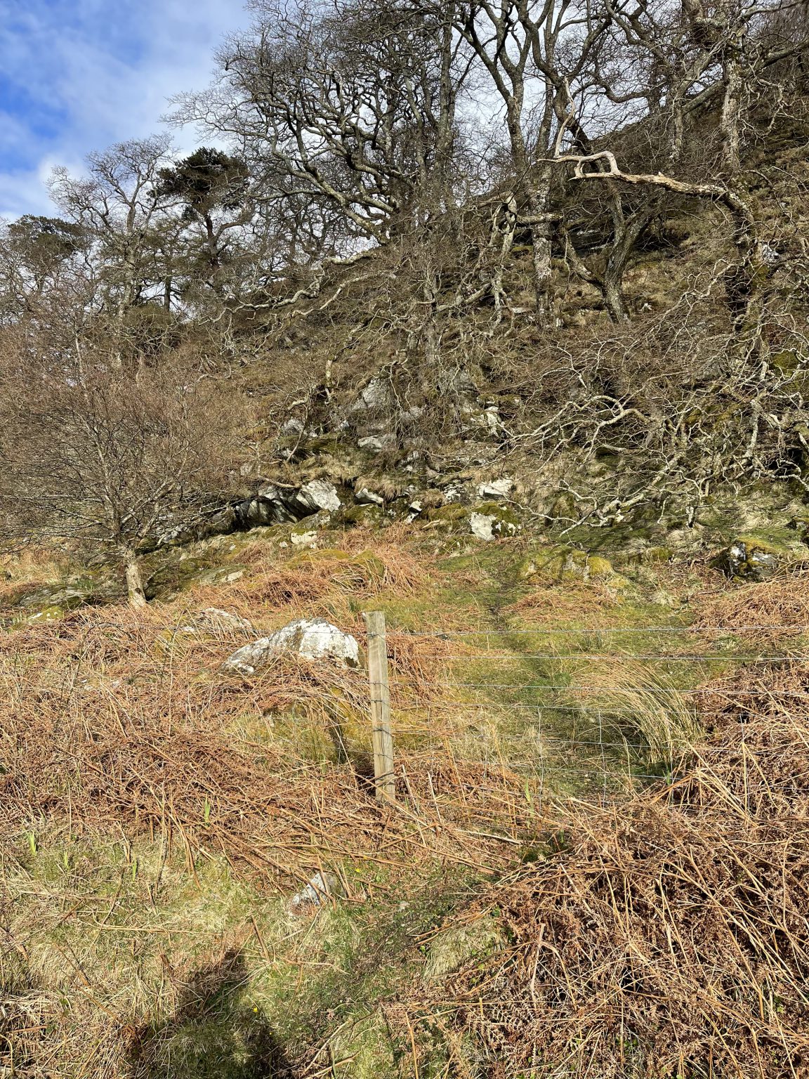 How to spot signs of the different wildlife found in the area – Ellary ...